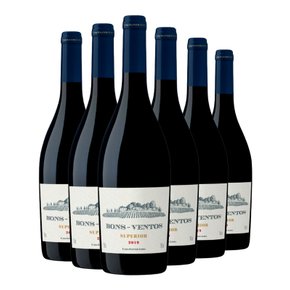 Kit 6 Garrafas Vinho Tinto Bons Ventos Superior 750 mL